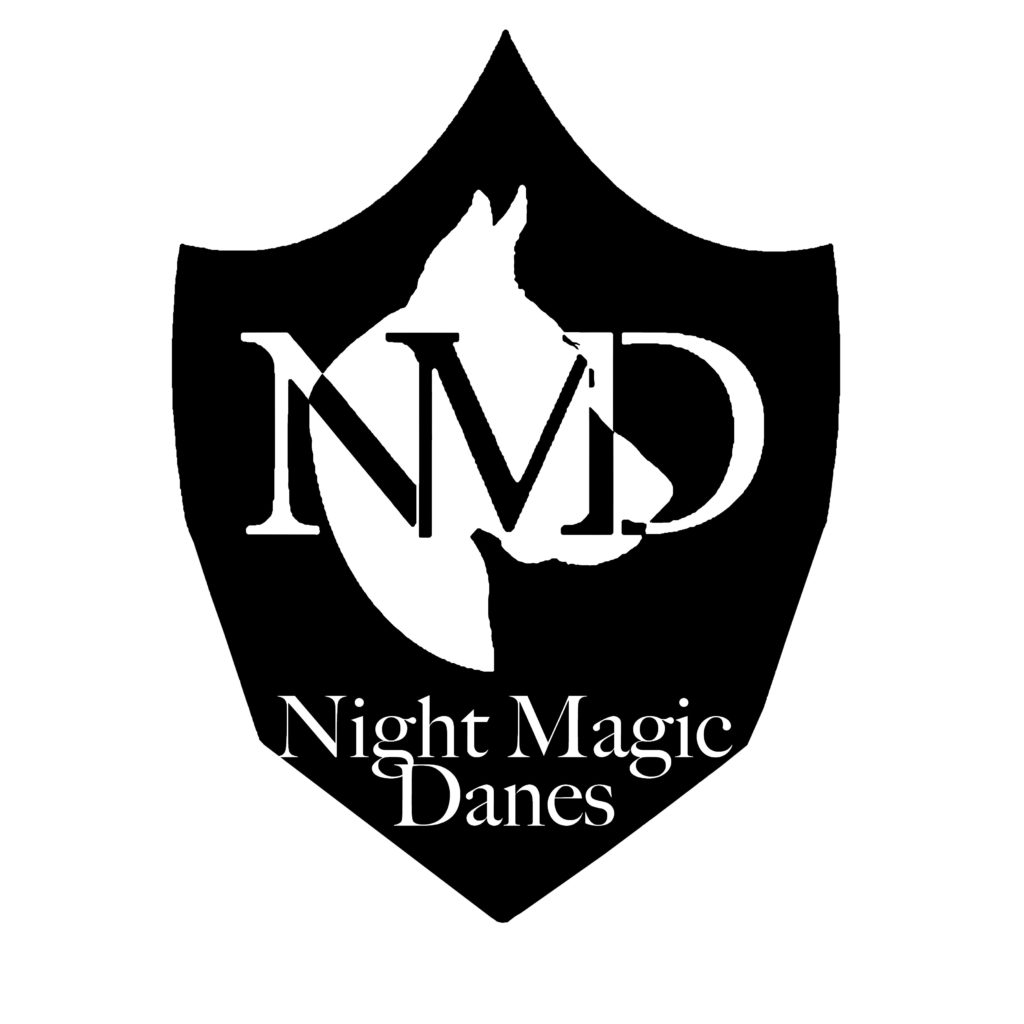 Night Magic Danes – Great Dane adoption