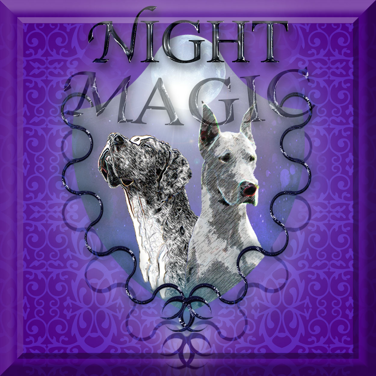 Adult Dogs – Night Magic Danes
